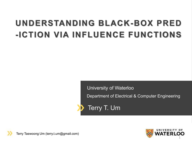 Understanding Black-box Predictions via Influence Functions (2017) | PPT