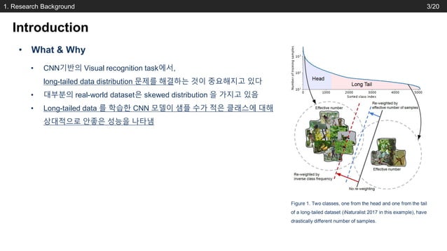 PR-203: Class-Balanced Loss Based on Effective Number of Samples | PPT