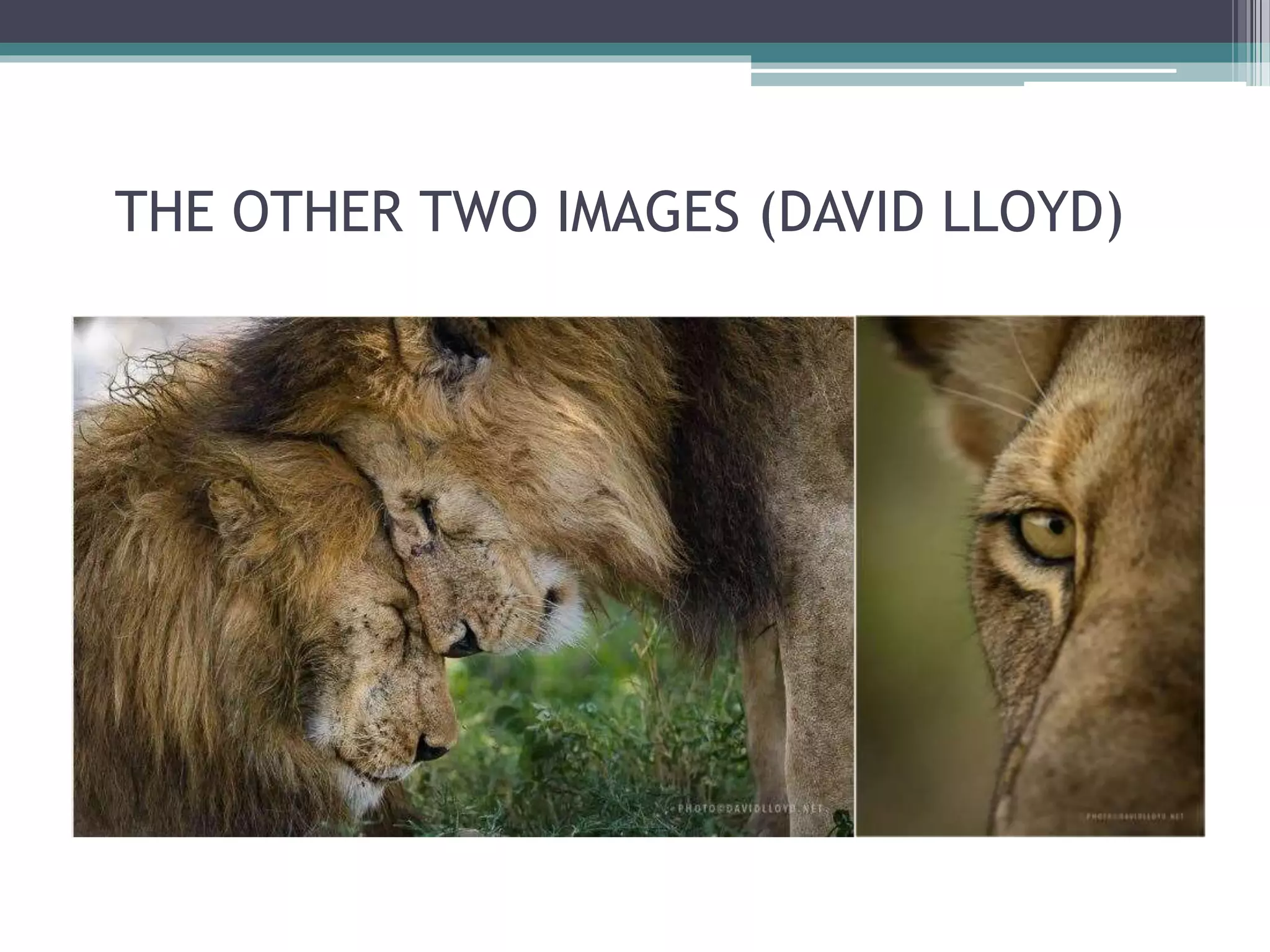 PR23 Preparing Images | PPT