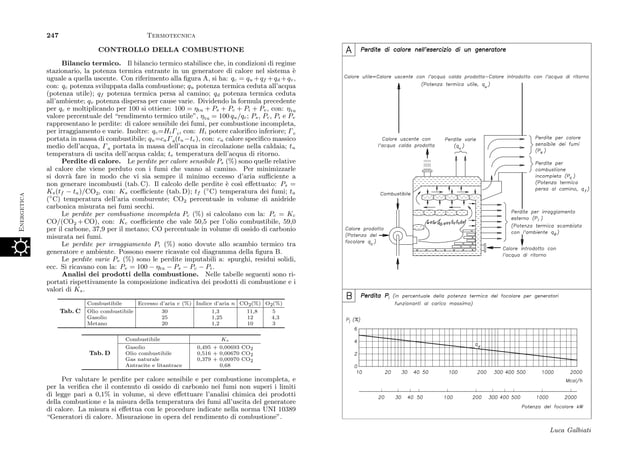 pr247 controllo della combustione.pdf | Commodities | Economy