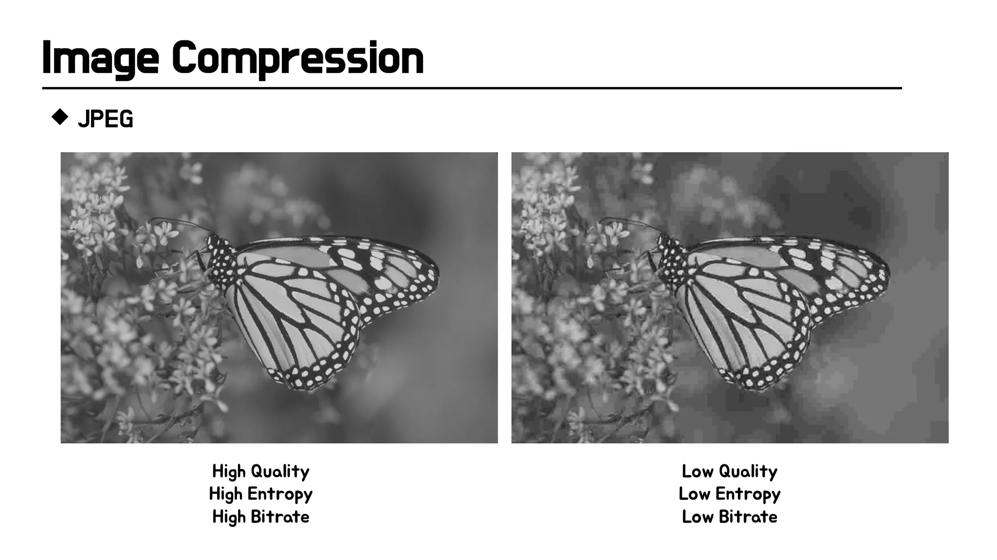 PR-340: DVC: An End-to-end Deep Video Compression Framework | PDF