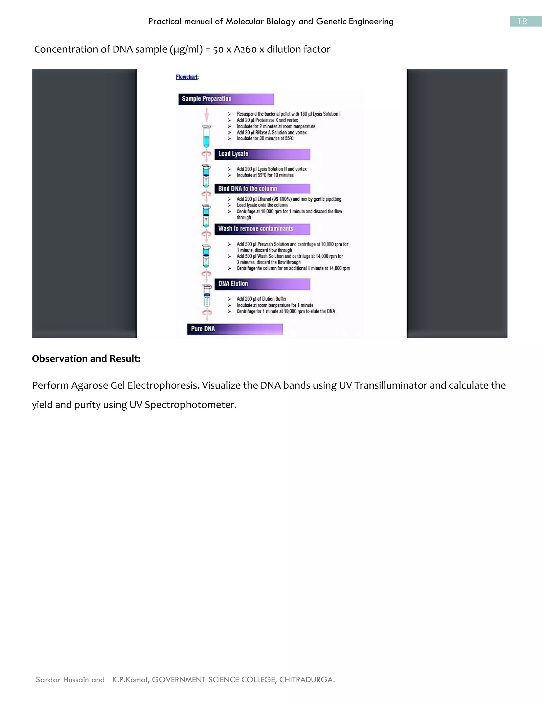 practical manual on molecular biology and genetic engineering ...