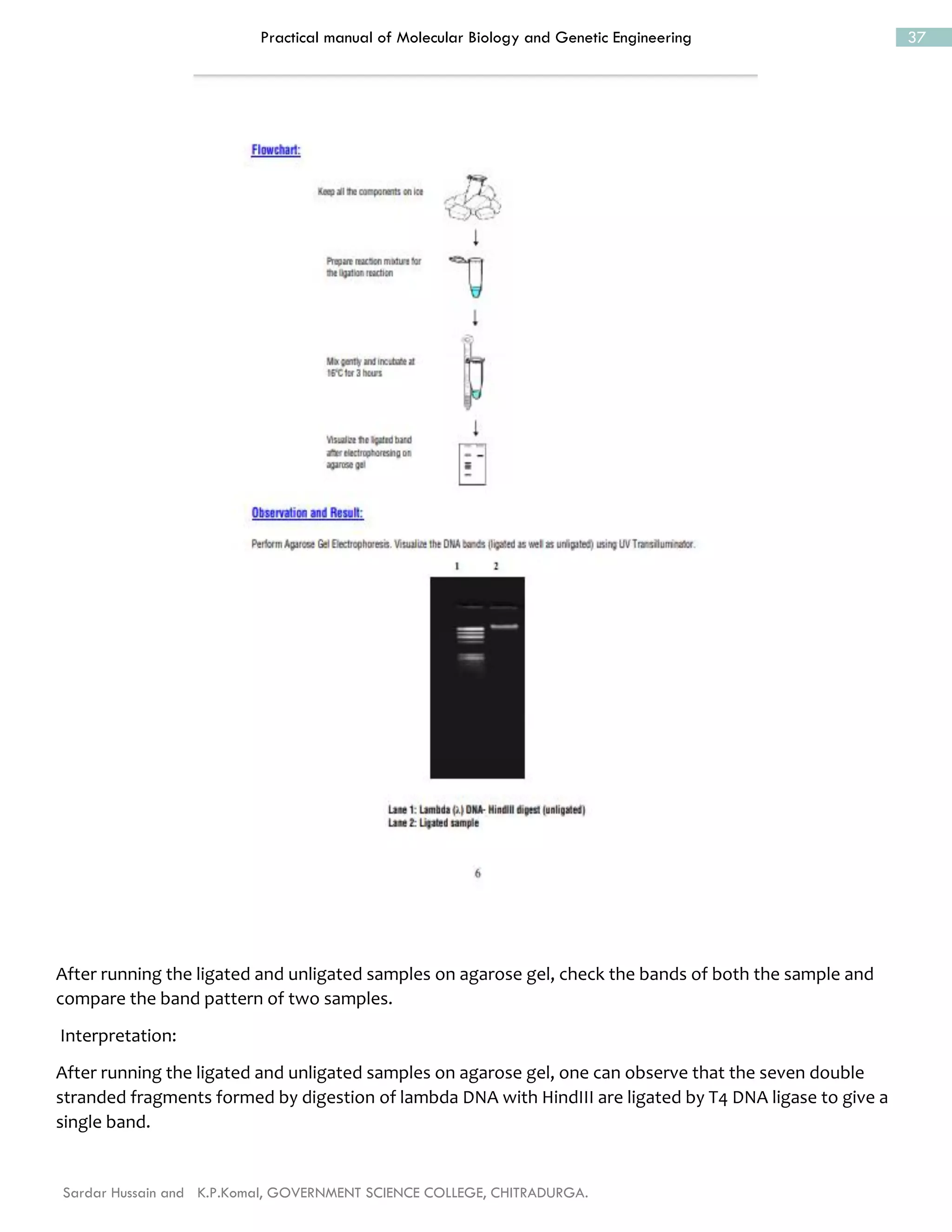 practical manual on molecular biology and genetic engineering ...