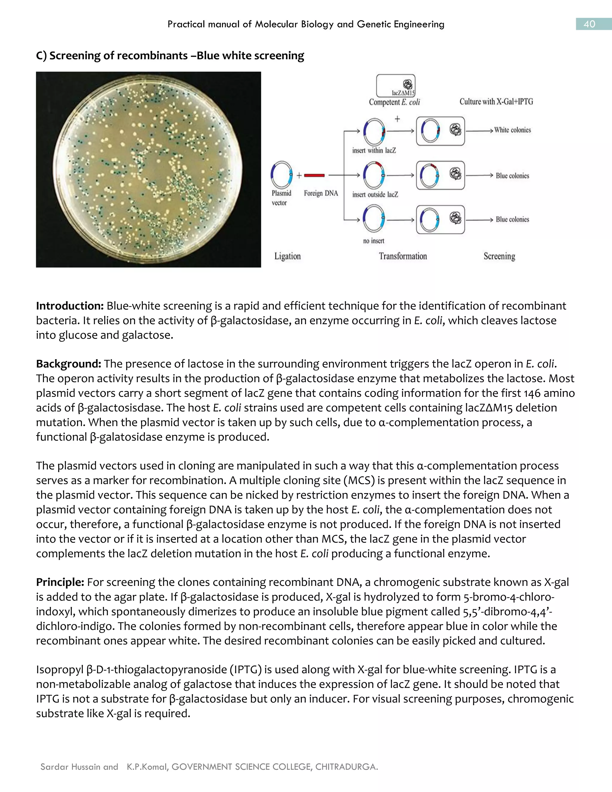 practical manual on molecular biology and genetic engineering ...