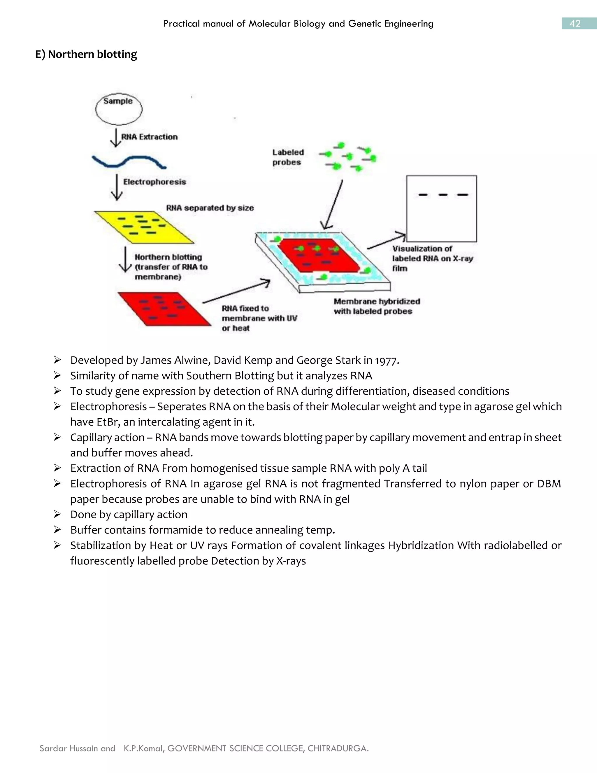 practical manual on molecular biology and genetic engineering ...