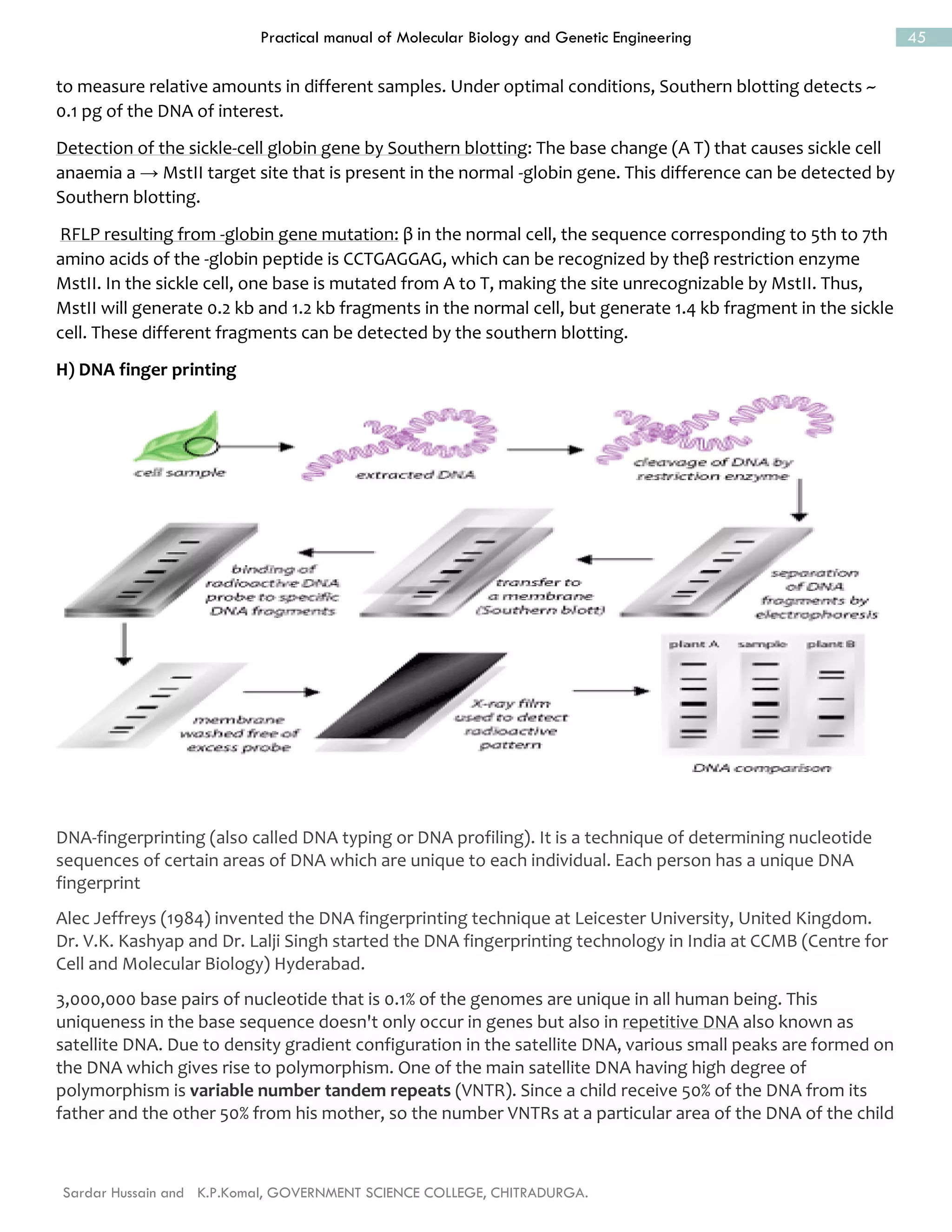 practical manual on molecular biology and genetic engineering ...