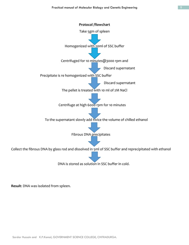 practical manual on molecular biology and genetic engineering ...