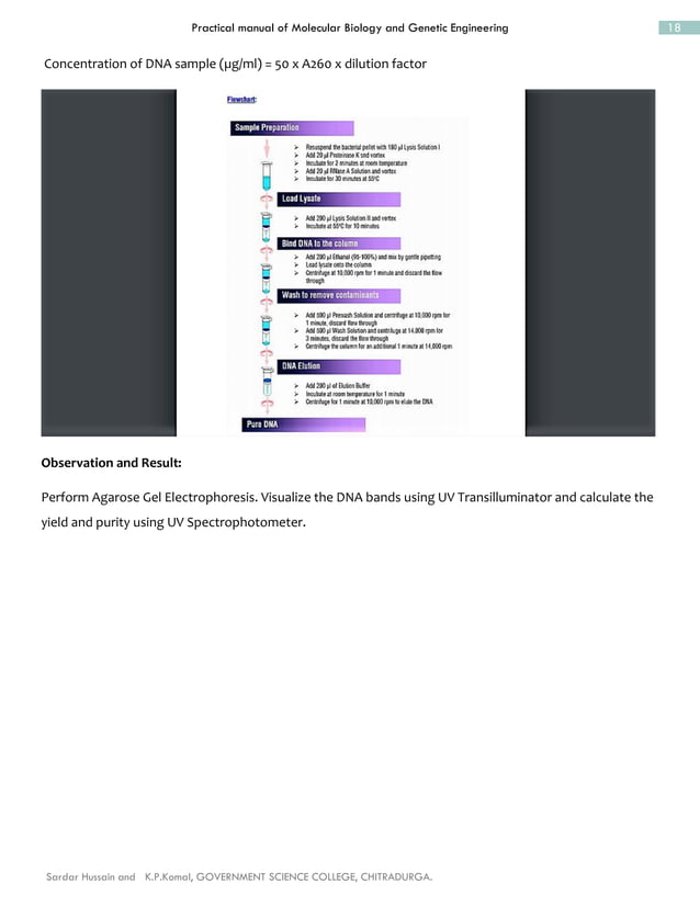 practical manual on molecular biology and genetic engineering ...