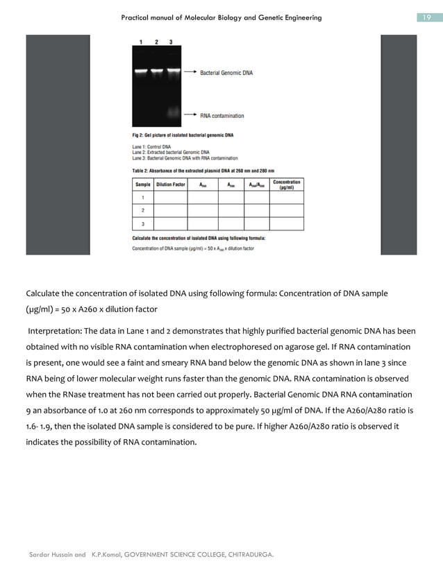 practical manual on molecular biology and genetic engineering ...