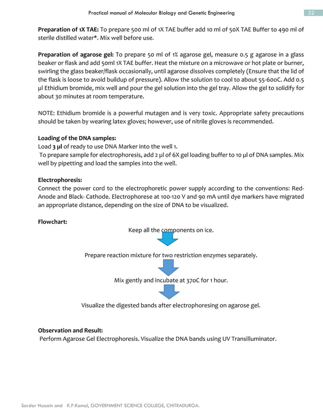 practical manual on molecular biology and genetic engineering ...