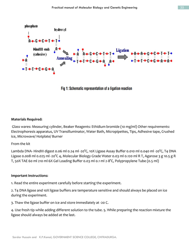 practical manual on molecular biology and genetic engineering ...