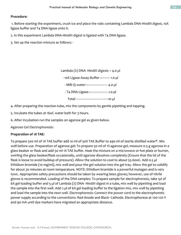 practical manual on molecular biology and genetic engineering,recombinant DNA TECHNOLOGY | PDF