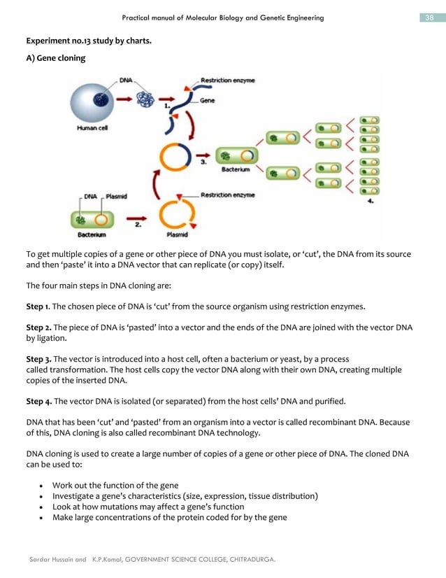 practical manual on molecular biology and genetic engineering,recombinant DNA TECHNOLOGY | PDF