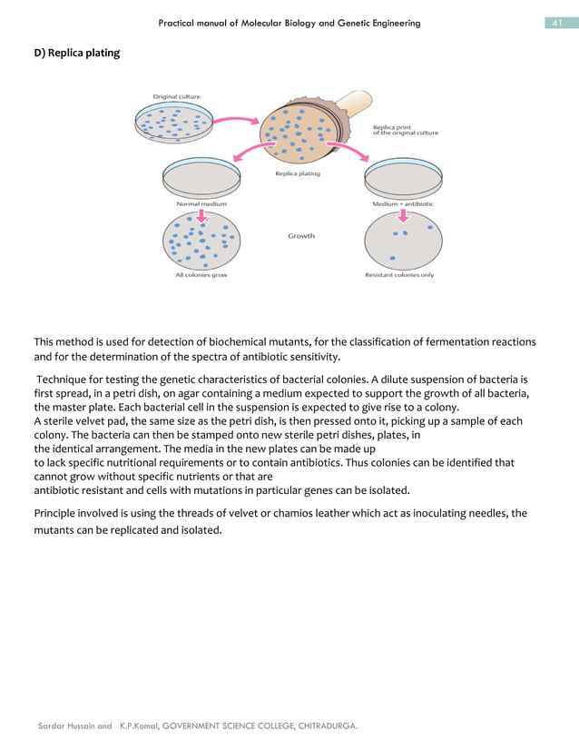 practical manual on molecular biology and genetic engineering ...