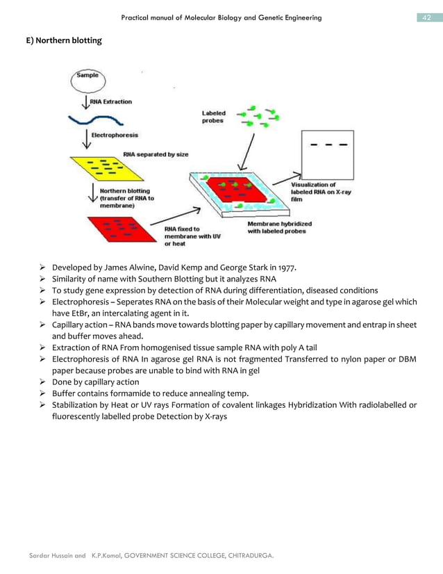 practical manual on molecular biology and genetic engineering ...