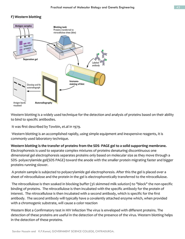 practical manual on molecular biology and genetic engineering ...