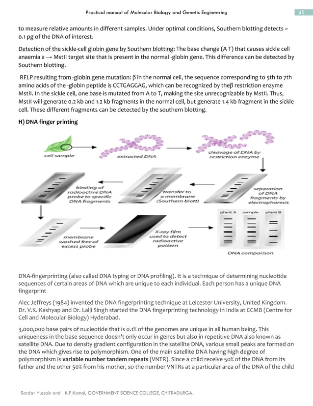 practical manual on molecular biology and genetic engineering,recombinant DNA TECHNOLOGY | PDF