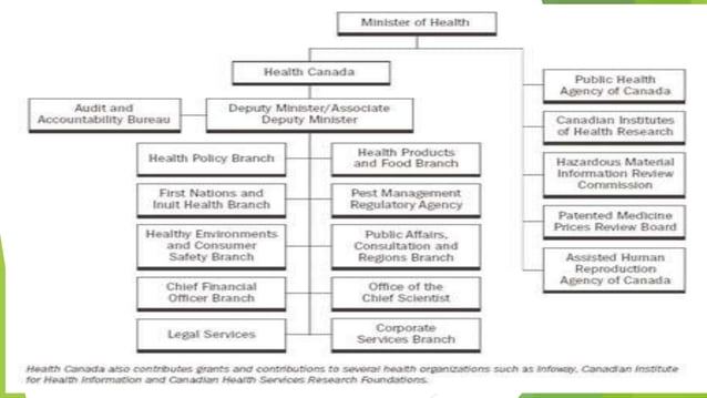 Pharmaceutical regulatory authorities and agencies | PPTX
