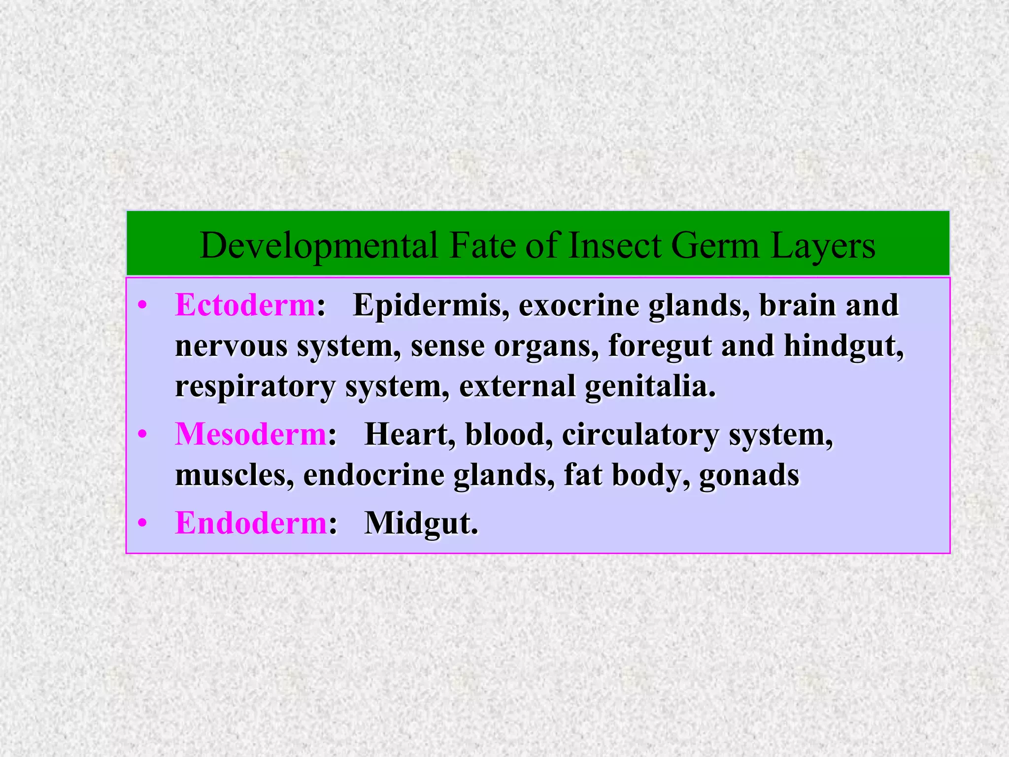 Pra embryonic and post-embryonic development in insect | PDF