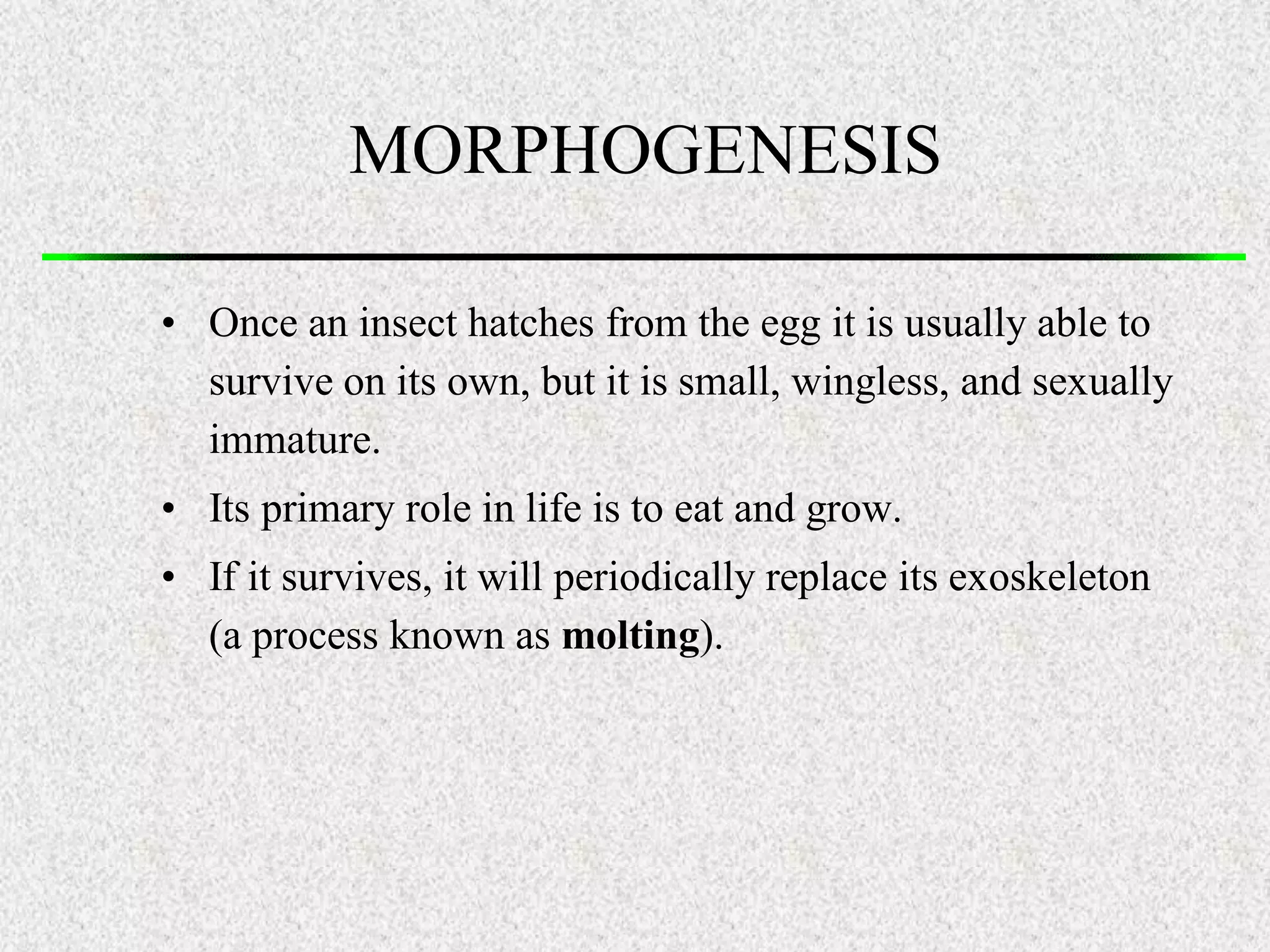 Pra embryonic and post-embryonic development in insect | PDF