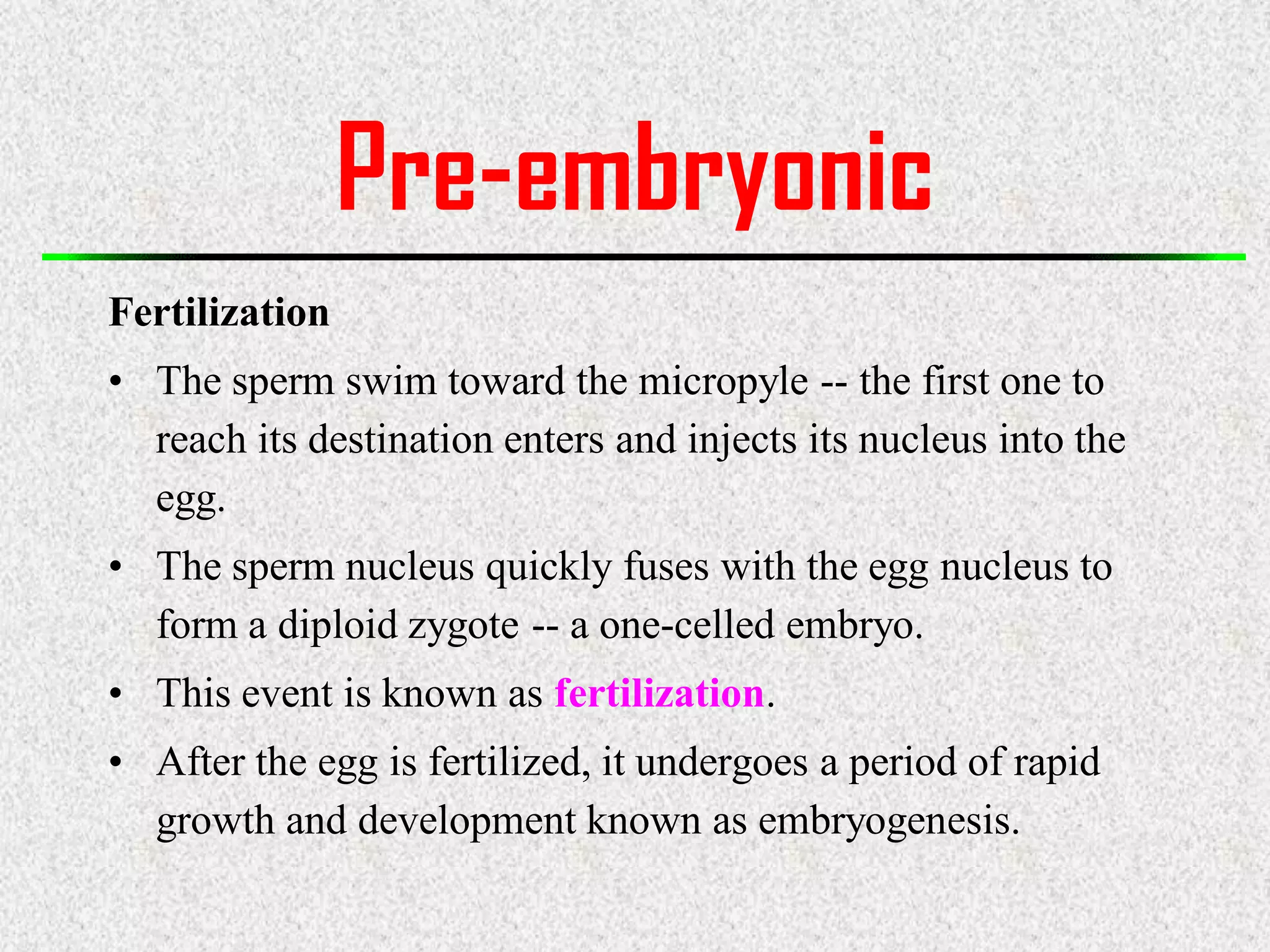 Pra embryonic and post-embryonic development in insect | PDF