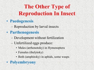 Pra embryonic and post-embryonic development in insect | PDF
