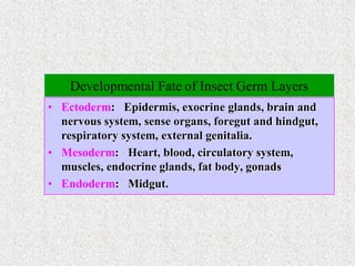 Pra embryonic and post-embryonic development in insect | PDF