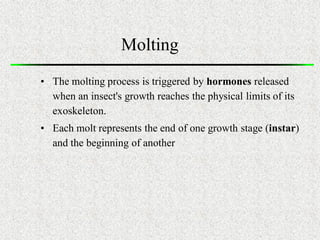 Pra embryonic and post-embryonic development in insect | PDF
