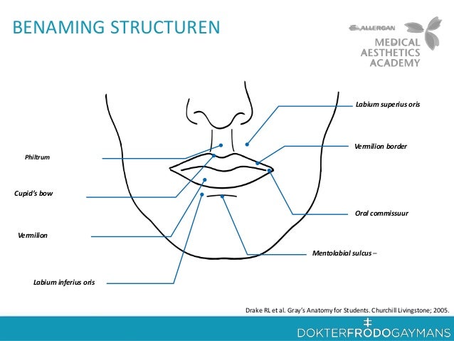 Presentatie over de behandeling van lippen met juvederm volbella