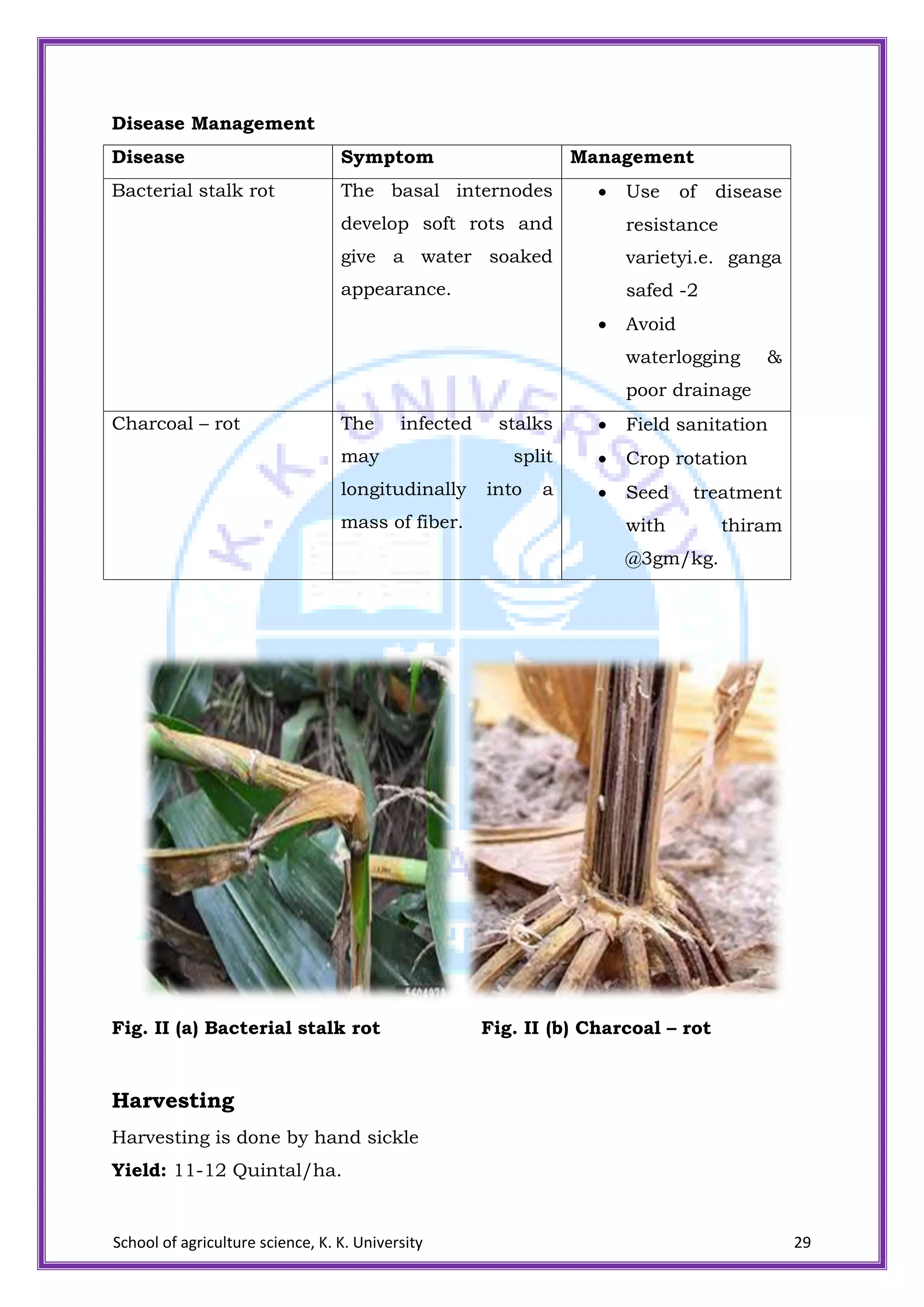 Rawe & AIA Report for Agriculture students.pdf