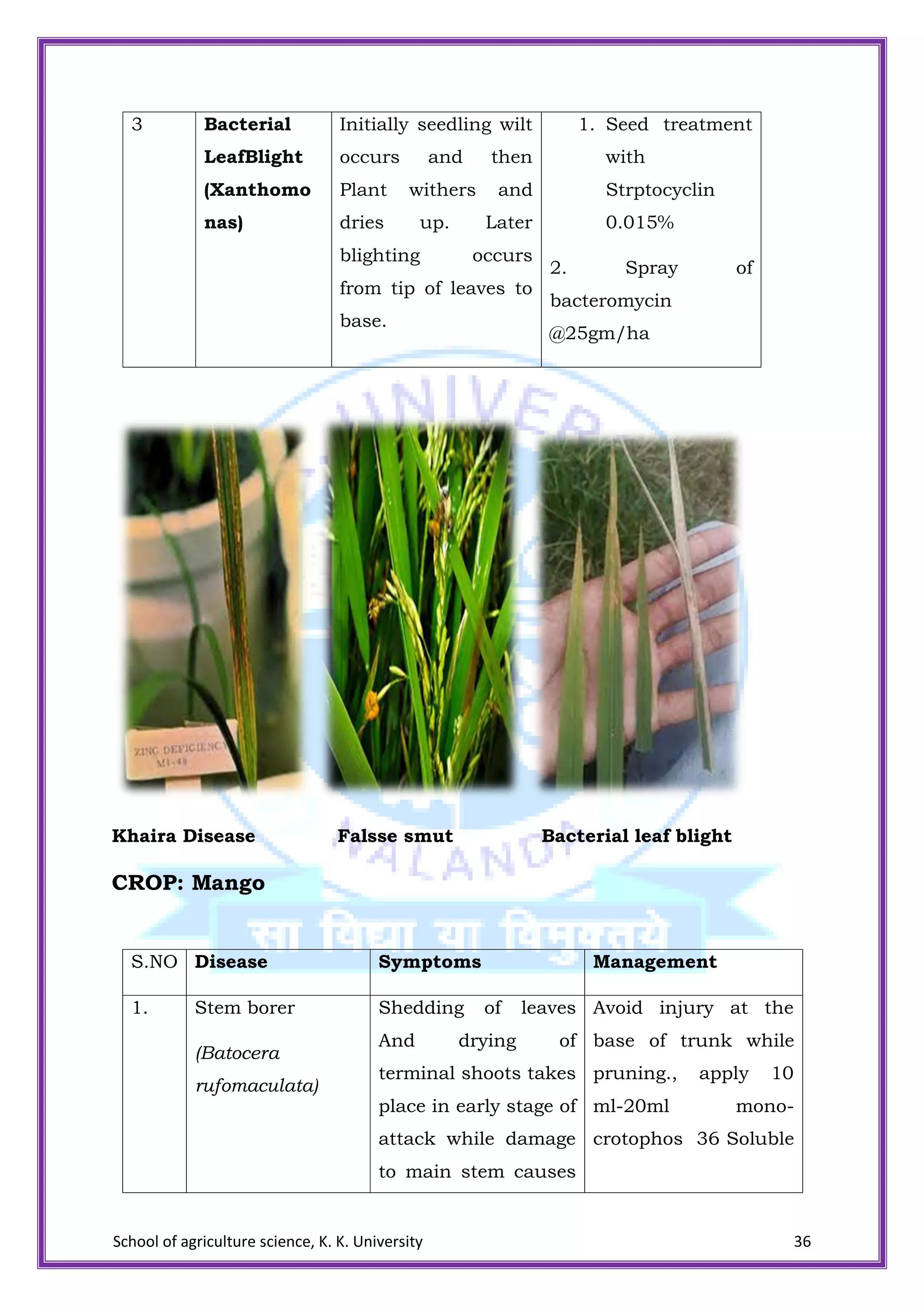 Rawe & AIA Report for Agriculture students.pdf