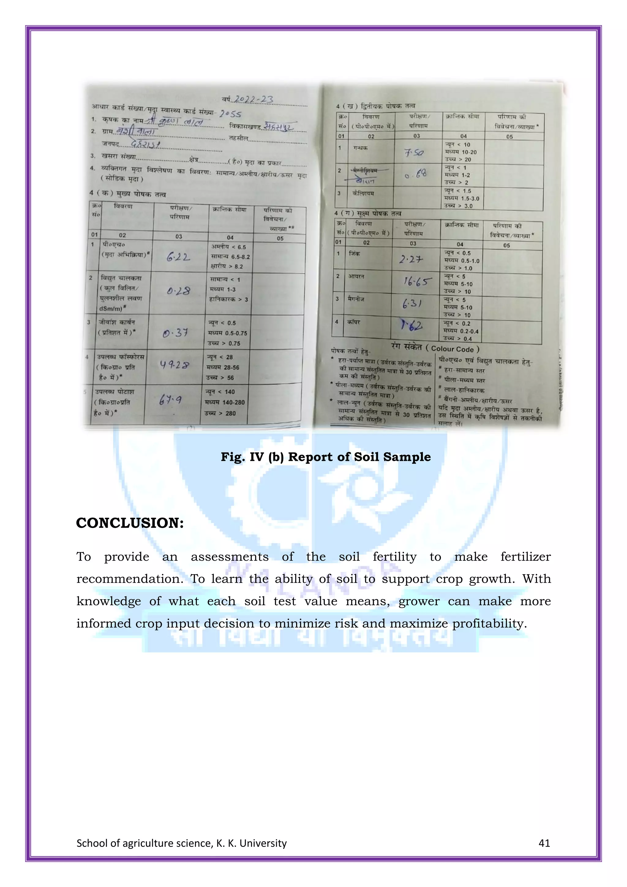 Rawe & AIA Report for Agriculture students.pdf