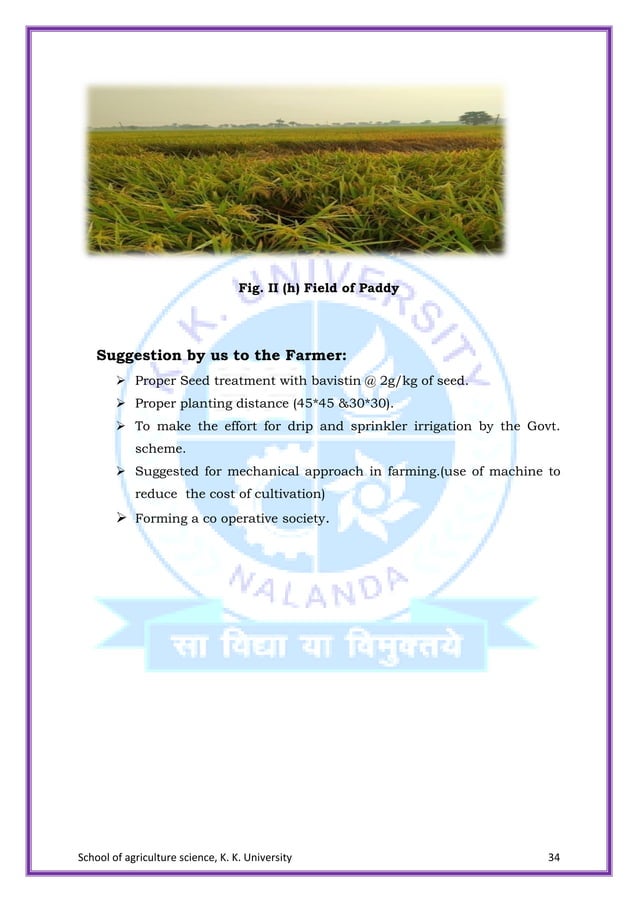 Rawe & AIA Report for Agriculture students.pdf