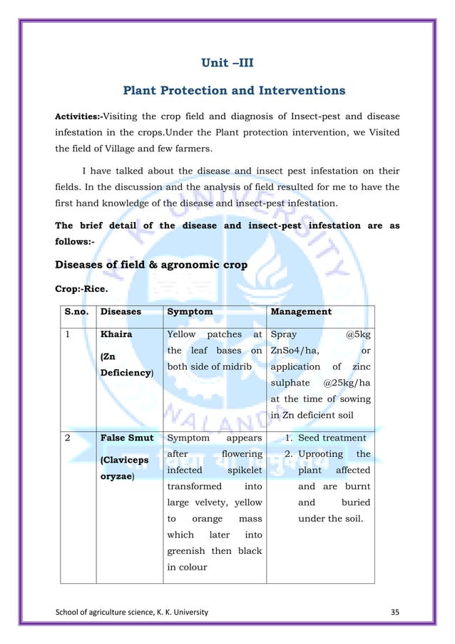 Rawe & AIA Report for Agriculture students.pdf