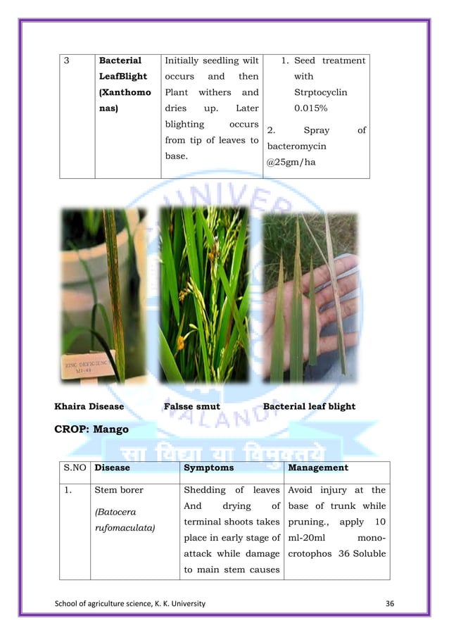 Rawe & AIA Report for Agriculture students.pdf