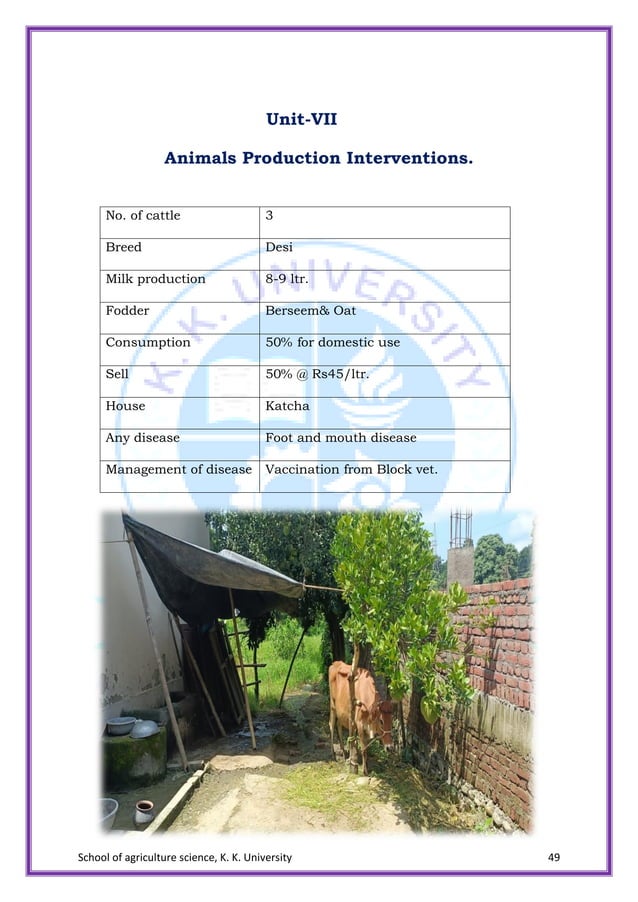 Rawe & AIA Report for Agriculture students.pdf