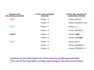 Prabhakar singh ii sem-paper v-automated dna sequencing and dna ...