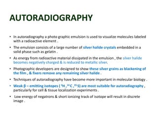 Prabhakar singh ii sem-paper v-autoradiography | PDF