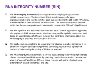Prabhakar singh ii sem-paper v-bioanalyzer | PPT