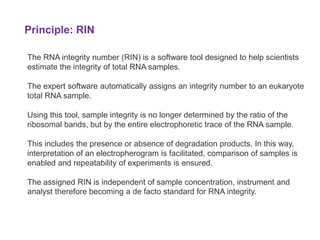 Prabhakar singh ii sem-paper v-bioanalyzer | PPT
