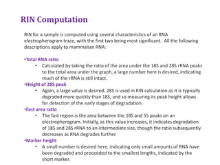 Prabhakar singh ii sem-paper v-bioanalyzer | PPT
