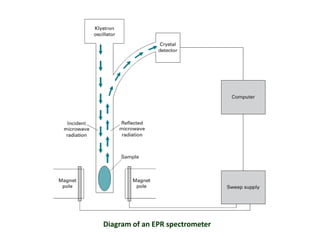 Prabhakar singh ii sem-paper v-nmr and epr spectroscopy | PPT