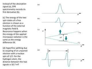 Nmr And Epr Spectroscopy _ What are the differences between ESR and NMR ...