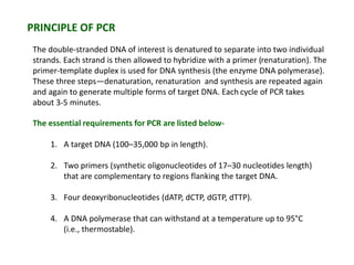 Prabhakar singh ii sem-paper v-pcr | PPT