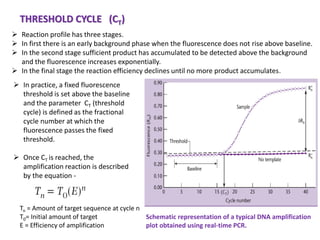 Prabhakar singh ii sem-paper v-rt pcr | PDF