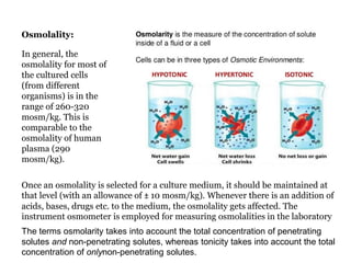 Prabhakar Singh- IV_SEM-ANIMAL CELL CULTURE MEDIA | PDF