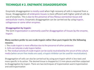 Prabhakar Singh- IV_SEM-Basic Techniques of Mammalian cell culture in ...