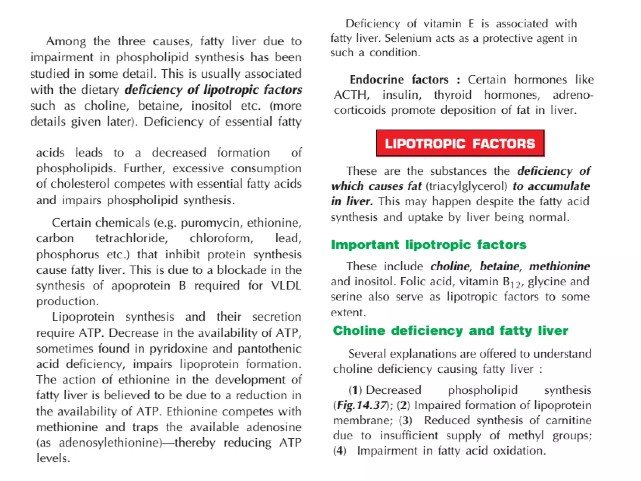 Prabhakar singh iv sem-disorder of lipids | PDF | Endocrine and ...