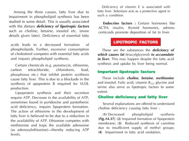 Prabhakar singh iv sem-disorder of lipids | PDF | Endocrine and ...
