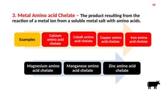 Role of Supplementation of Chelated Minerals in Ruminant Production ...